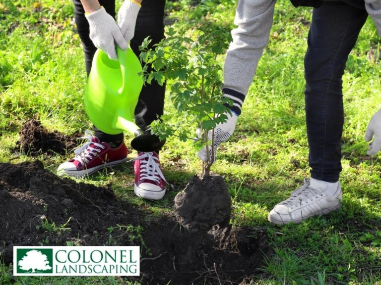Nighttime Landscaping Pitfalls | Colonel Landscaping
